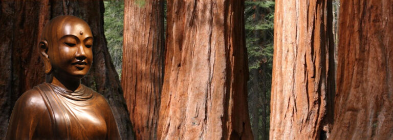 Insight Retreat Center